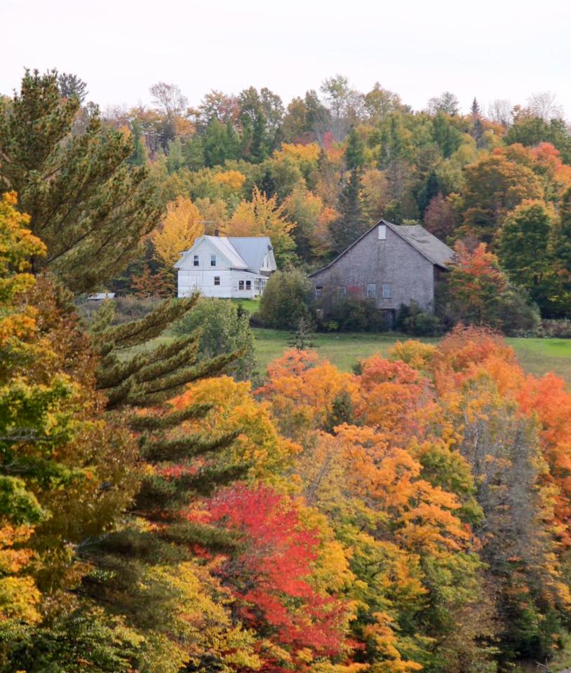 Hunting and Fishing – Spruce Lodge