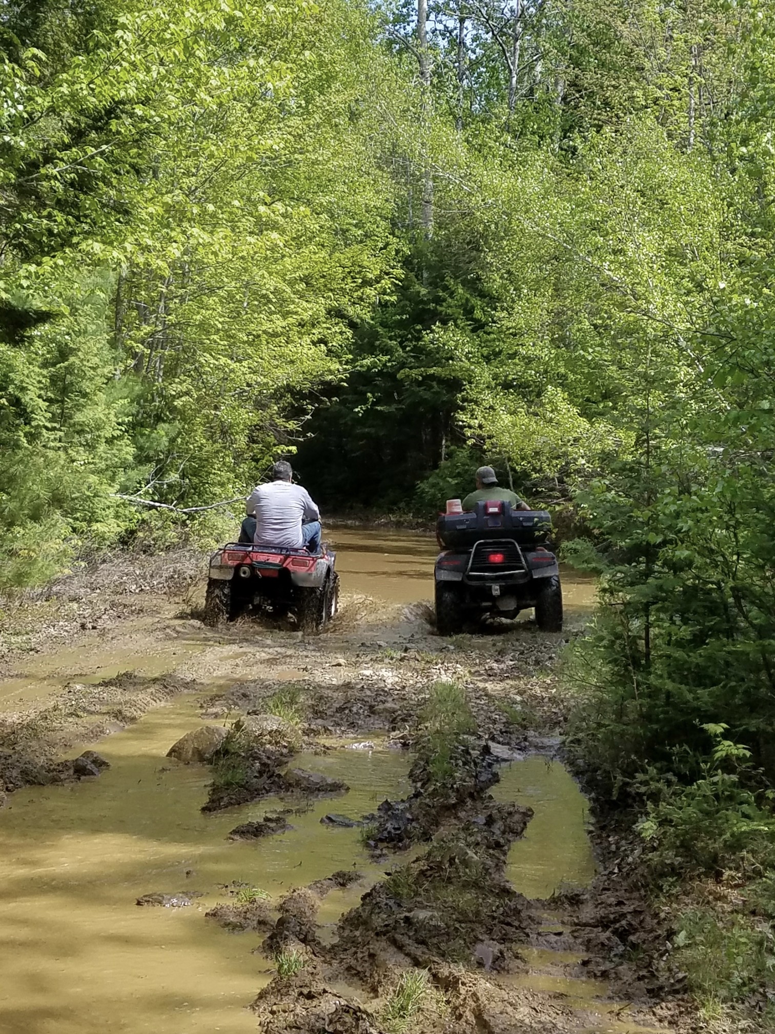Spruce Lodge – Serenity on the shore of Lower Sysladobsis Lake